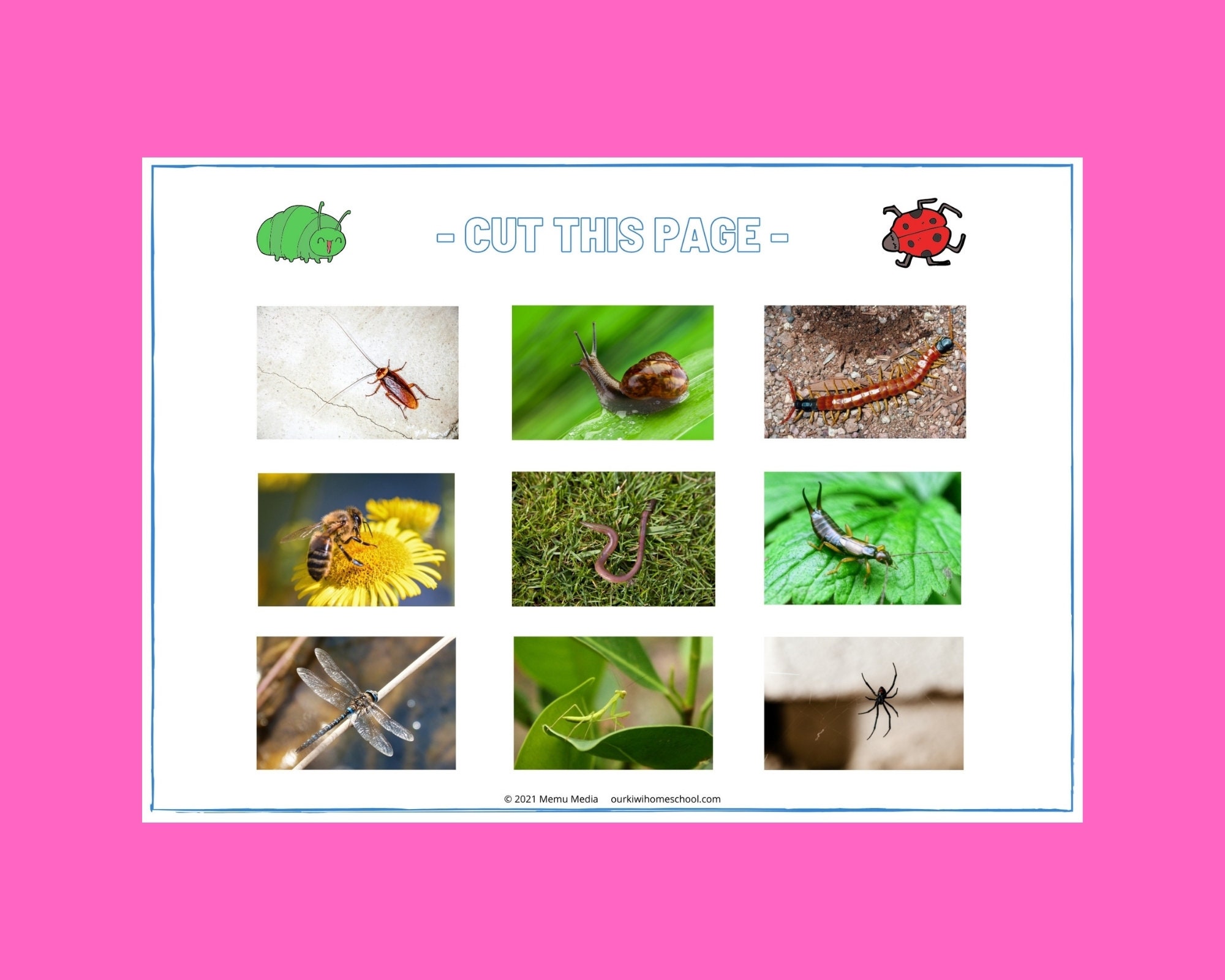 Montessori Bugs and Insects Matching Activity | Toddler Sorting Game ...