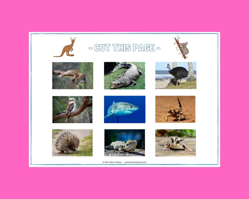 Montessori Australian Animals Matching Activity | Animal Match up Game ...