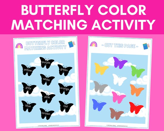 Butterfly Color Matching Activity Montessori Color Sorting | Etsy