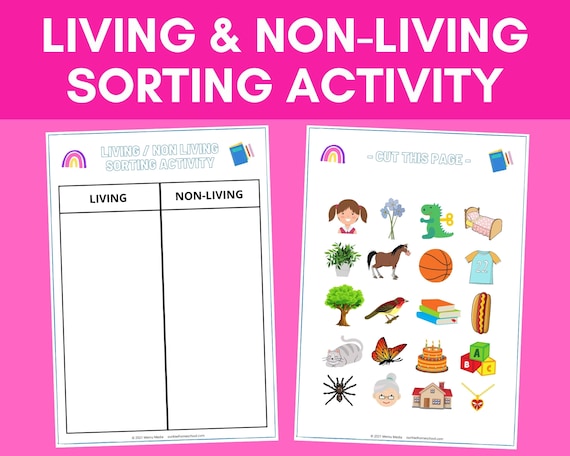 Living & Non-living Sorting Activity Montessori Preschool | Etsy