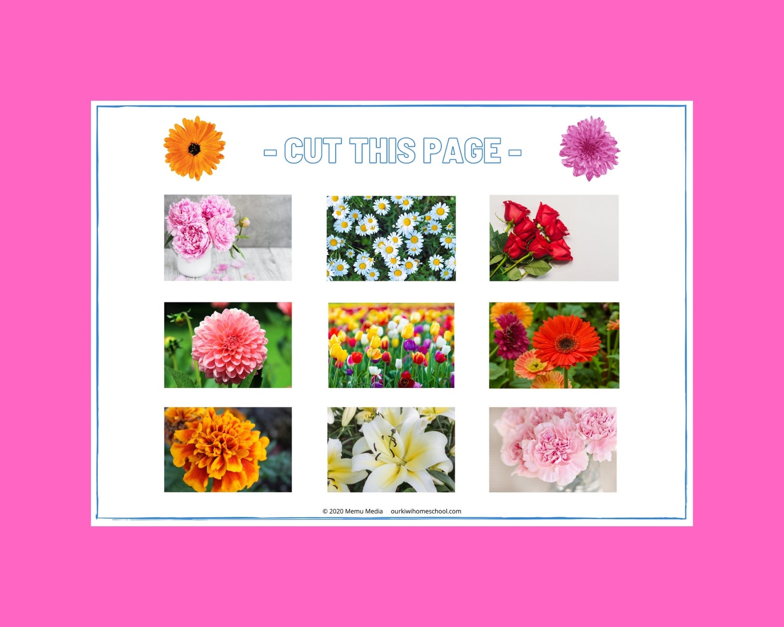 Montessori Flower Matching Activity | Flower Match up Game | Preschool ...