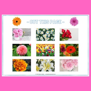 Montessori Flower Matching Activity | Flower Match up Game | Preschool ...