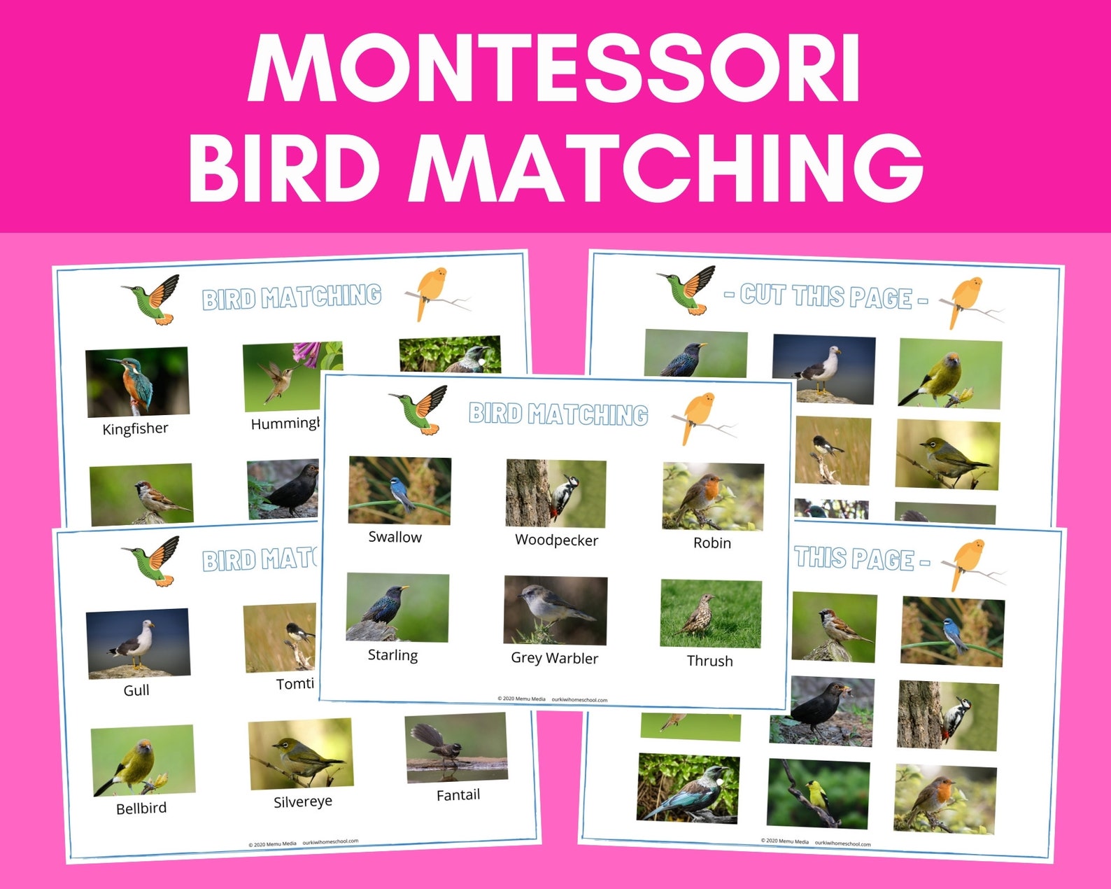 Montessori Bird Matching Activity | Bird Match up Game | Preschool ...