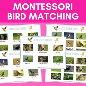 Montessori Bird Matching Activity | Bird Match up Game | Preschool ...