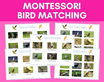 Montessori Flower Matching Activity Flower Match up Game | Etsy