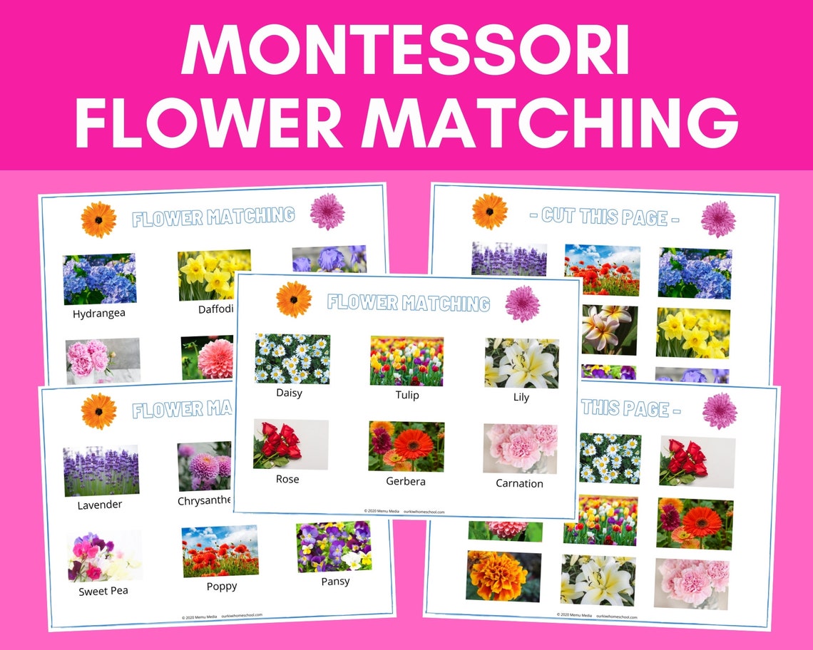 Montessori Flower Matching Activity | Flower Match up Game | Preschool ...