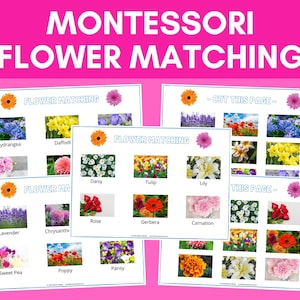 Montessori Flower Matching Activity | Flower Match up Game | Preschool ...