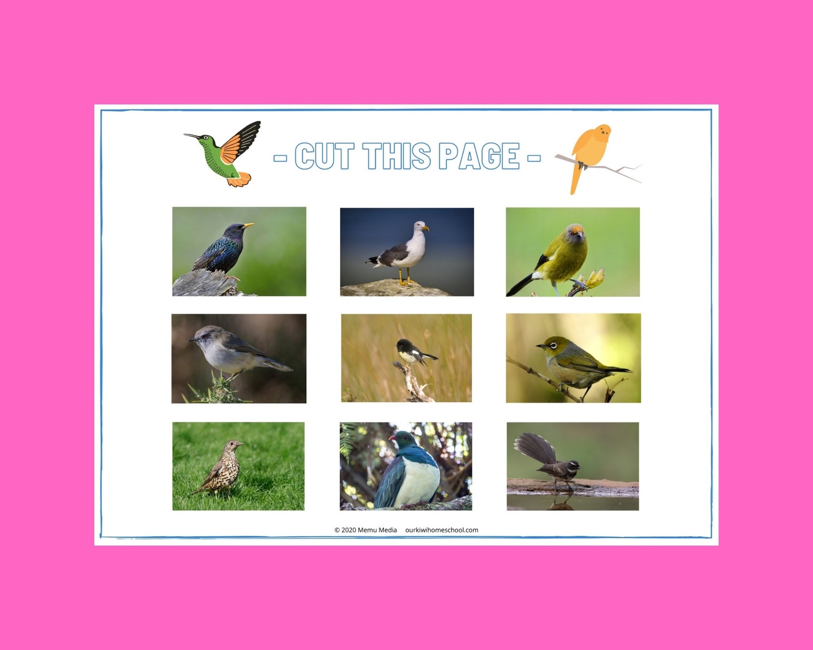 Montessori Bird Matching Activity | Bird Match up Game | Preschool ...