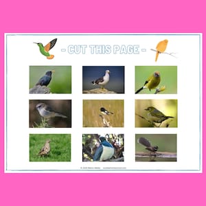 Montessori Bird Matching Activity | Bird Match up Game | Preschool ...