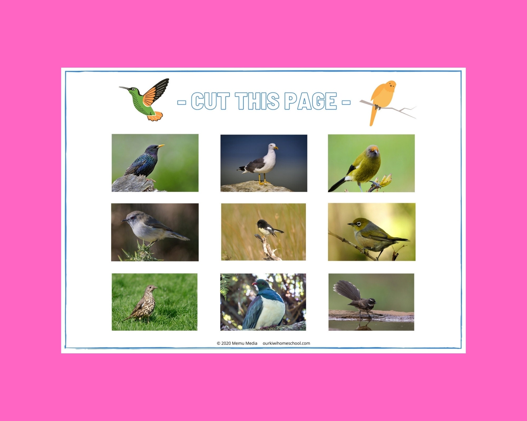 Montessori Bird Matching Activity | Bird Match up Game | Preschool ...