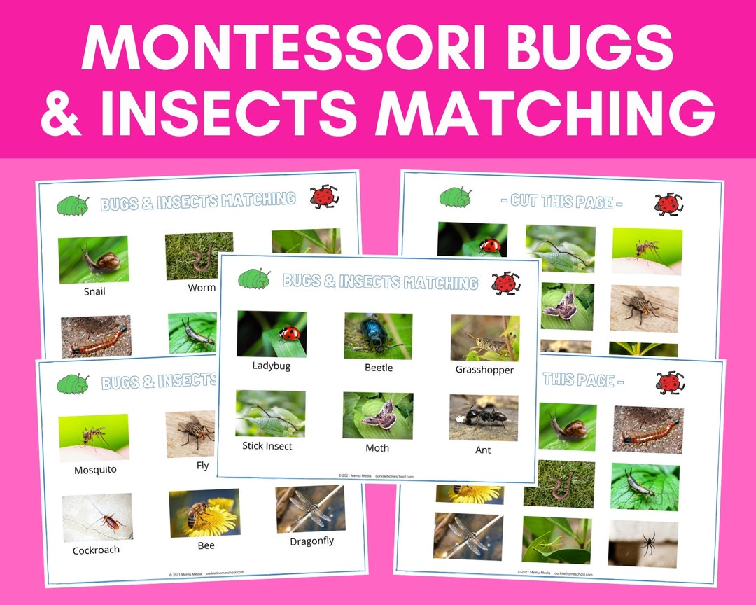 Montessori Bugs and Insects Matching Activity | Toddler Sorting Game ...