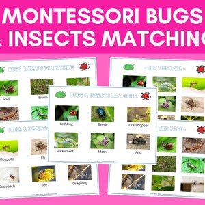 Montessori Bugs and Insects Matching Activity | Toddler Sorting Game ...