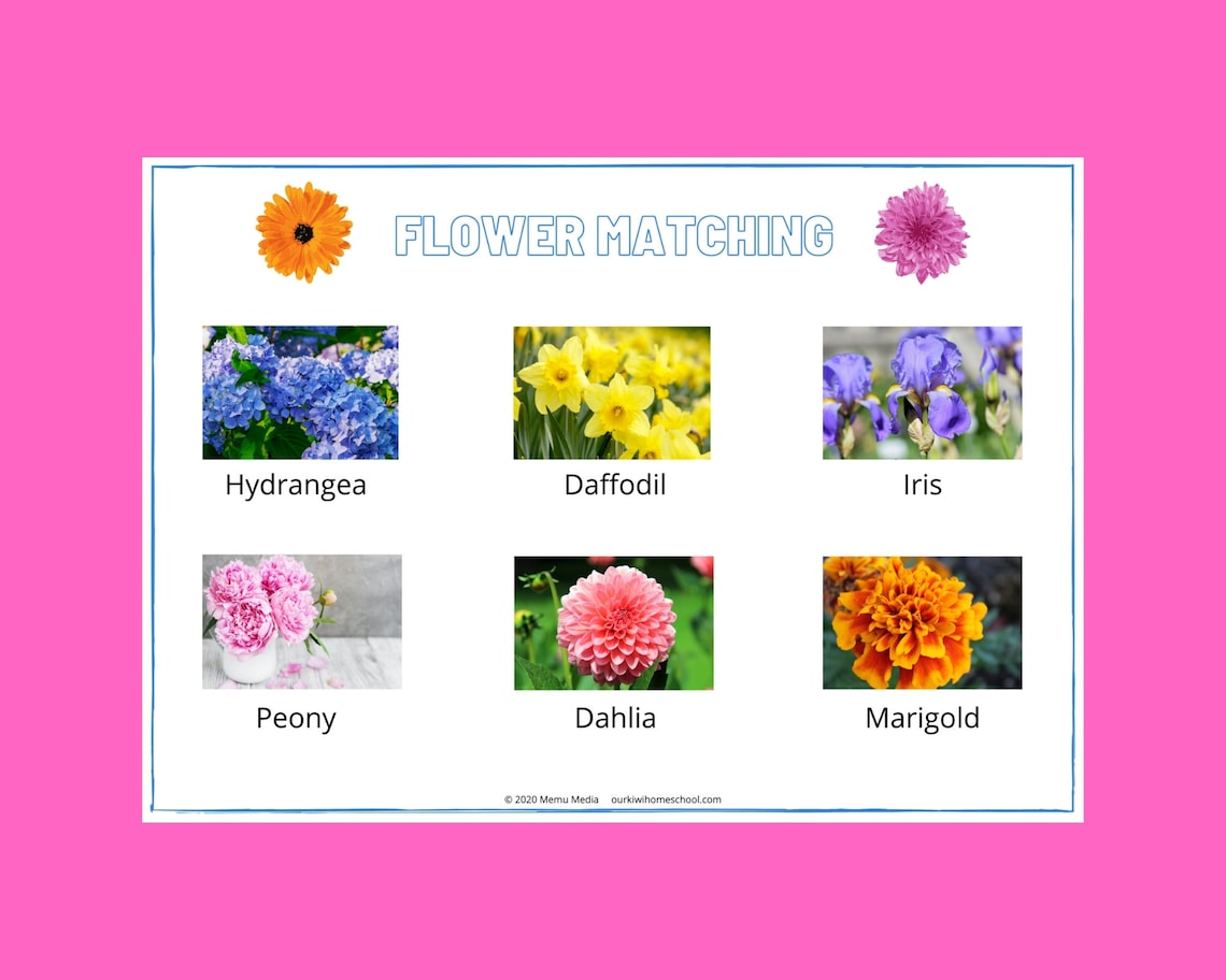 Montessori Flower Matching Activity | Flower Match up Game | Preschool ...