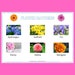 Montessori Flower Matching Activity Flower Match up Game - Etsy