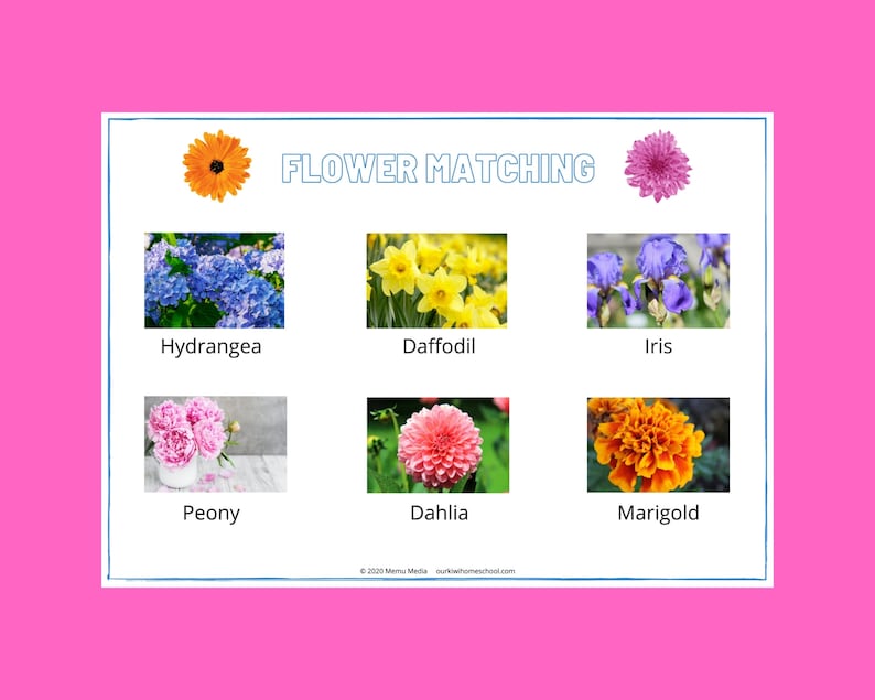 Montessori Flower Matching Activity | Flower Match up Game | Preschool ...