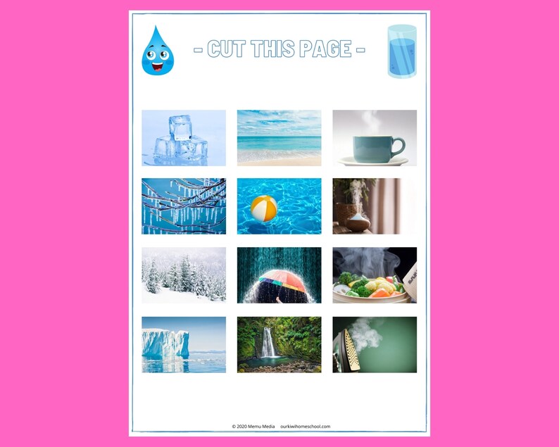 Properties of Water Sorting Activity | Montessori Science Game ...