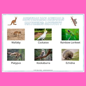 Montessori Australian Animals Matching Activity | Animal Match up Game ...