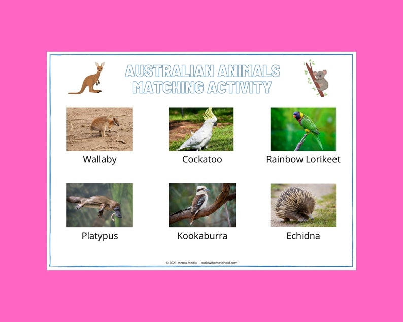 Montessori Australian Animals Matching Activity | Animal Match up Game ...
