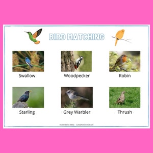 Montessori Bird Matching Activity | Bird Match up Game | Preschool ...