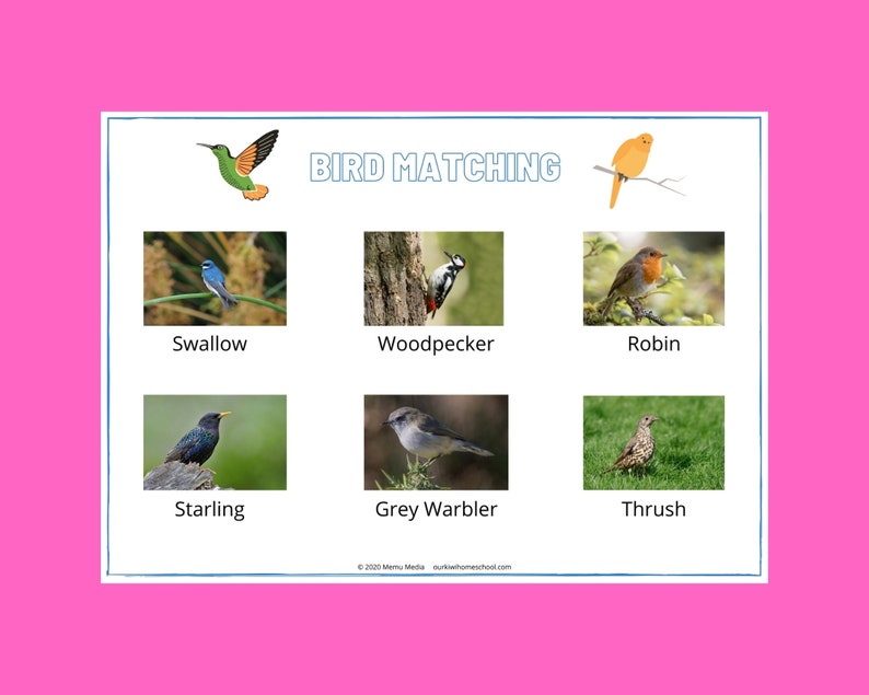 Montessori Bird Matching Game | Preschool Printable (PDF Download) - Etsy