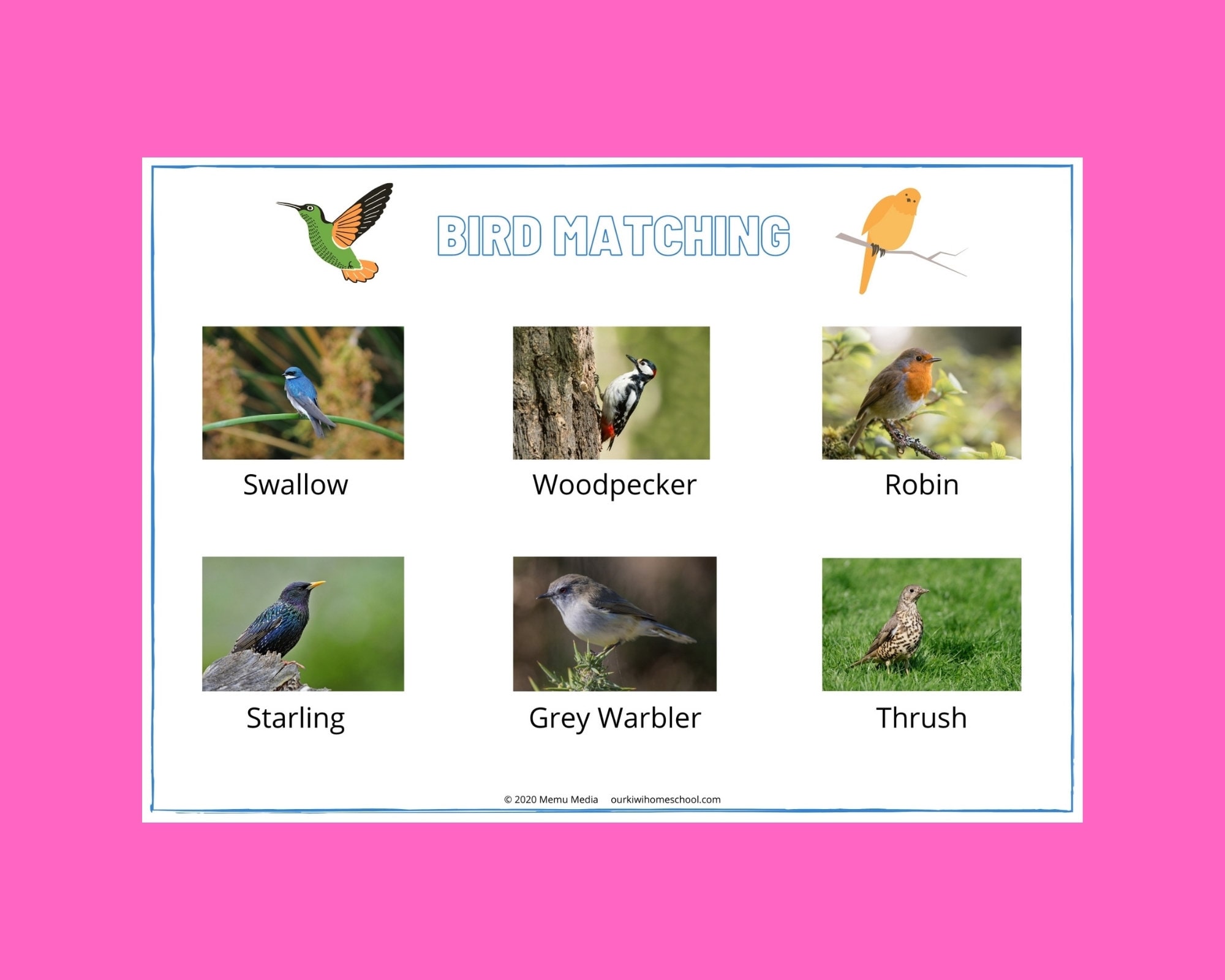 Montessori Bird Matching Activity | Bird Match up Game | Preschool ...