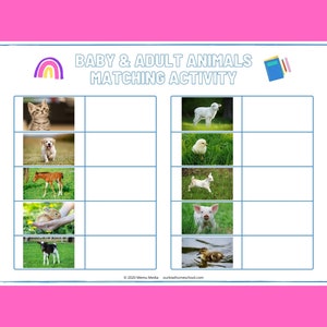 Baby & Adult Animals Matching Activity | Montessori Sorting Game ...