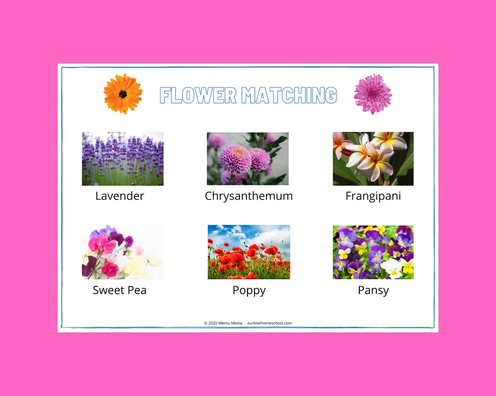 Montessori Flower Matching Activity | Flower Match up Game | Preschool ...