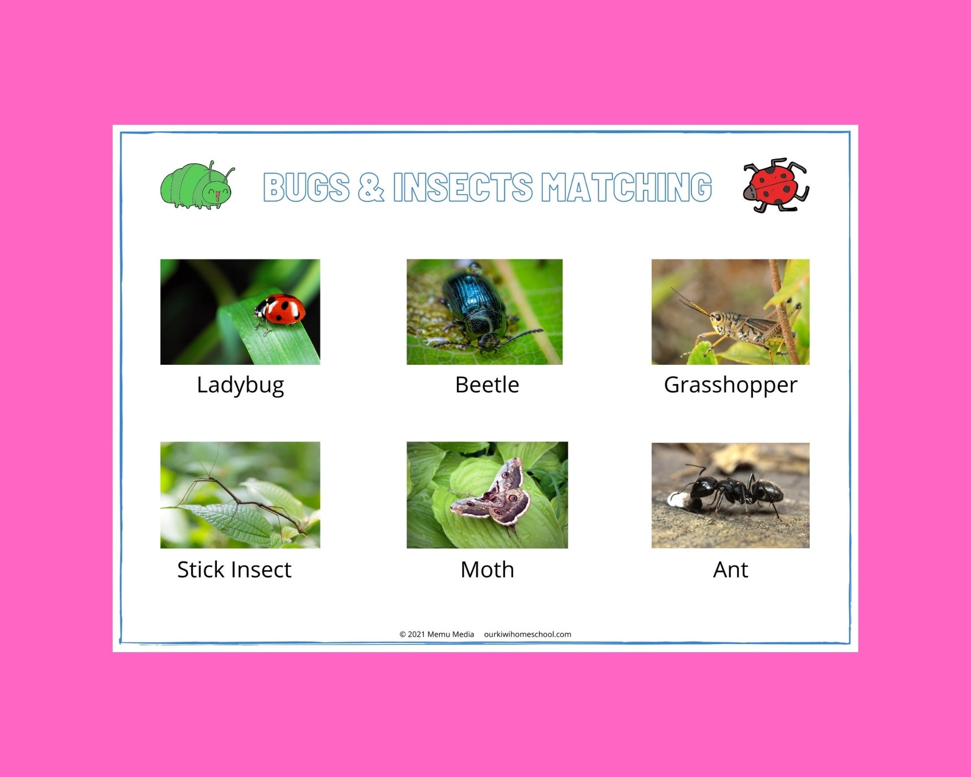 Montessori Bugs and Insects Matching Activity | Toddler Sorting Game ...