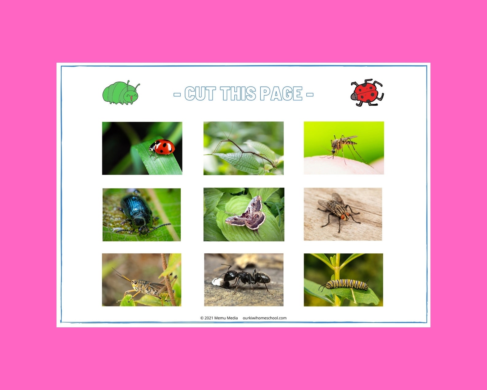 Montessori Bugs and Insects Matching Activity Toddler Sorting Game ...