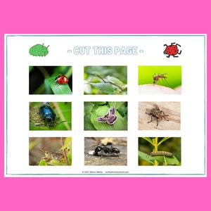 Montessori Bugs and Insects Matching Activity | Toddler Sorting Game ...