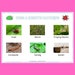 Montessori Bugs and Insects Matching Activity | Toddler Sorting Game ...