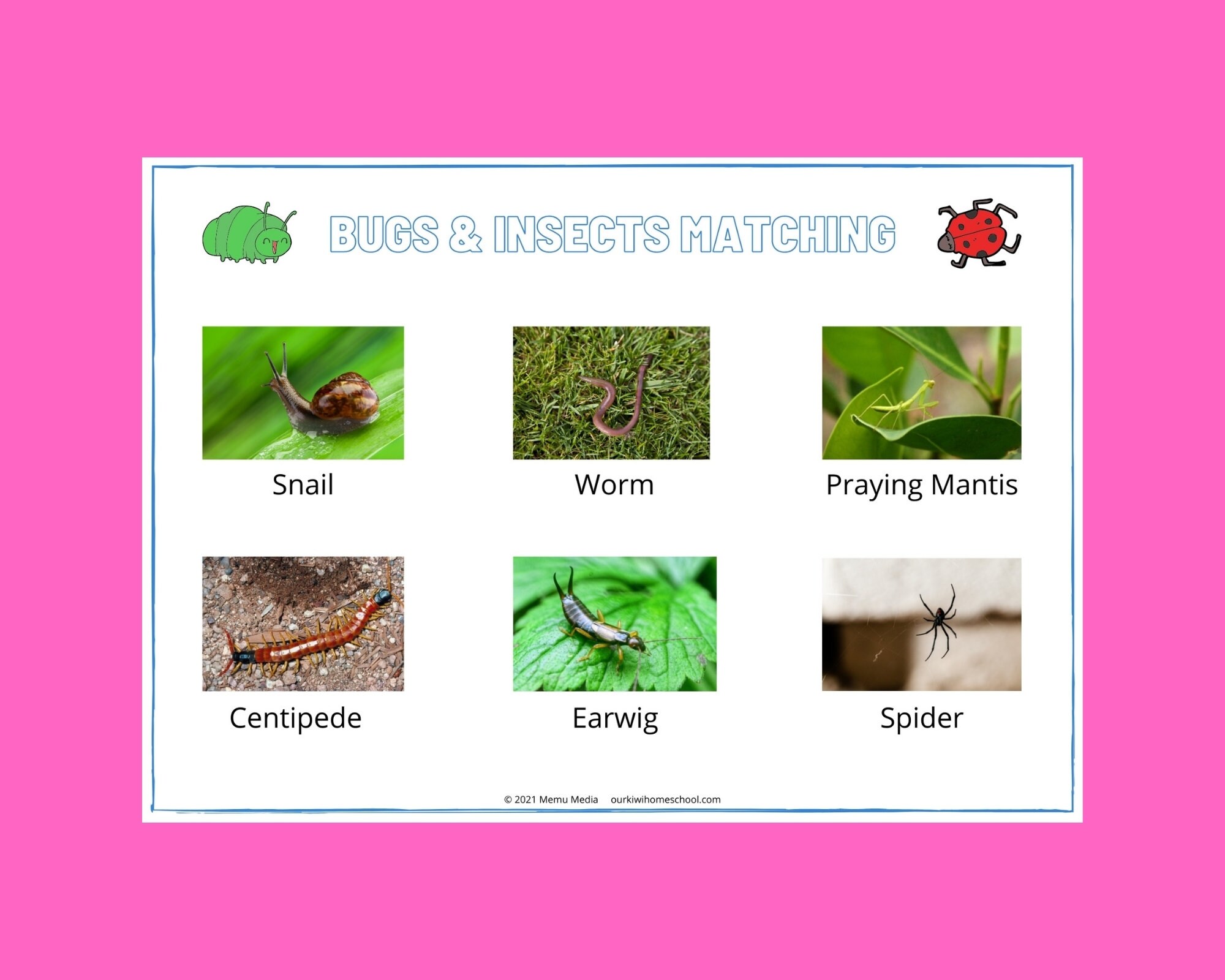 Montessori Bugs and Insects Matching Activity | Toddler Sorting Game ...