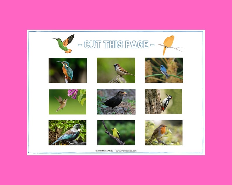 Montessori Bird Matching Activity | Bird Match up Game | Preschool ...