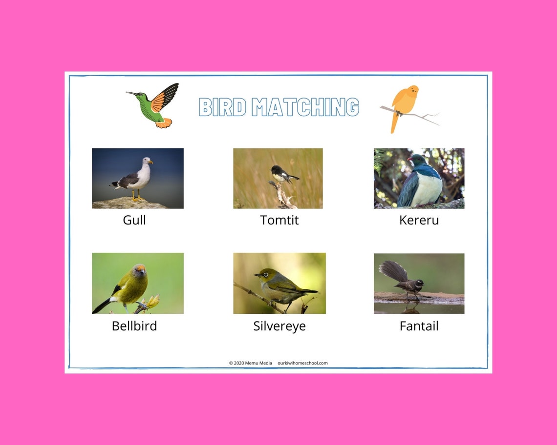 Montessori Bird Matching Activity | Bird Match up Game | Preschool ...