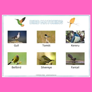 Montessori Bird Matching Activity | Bird Match up Game | Preschool ...