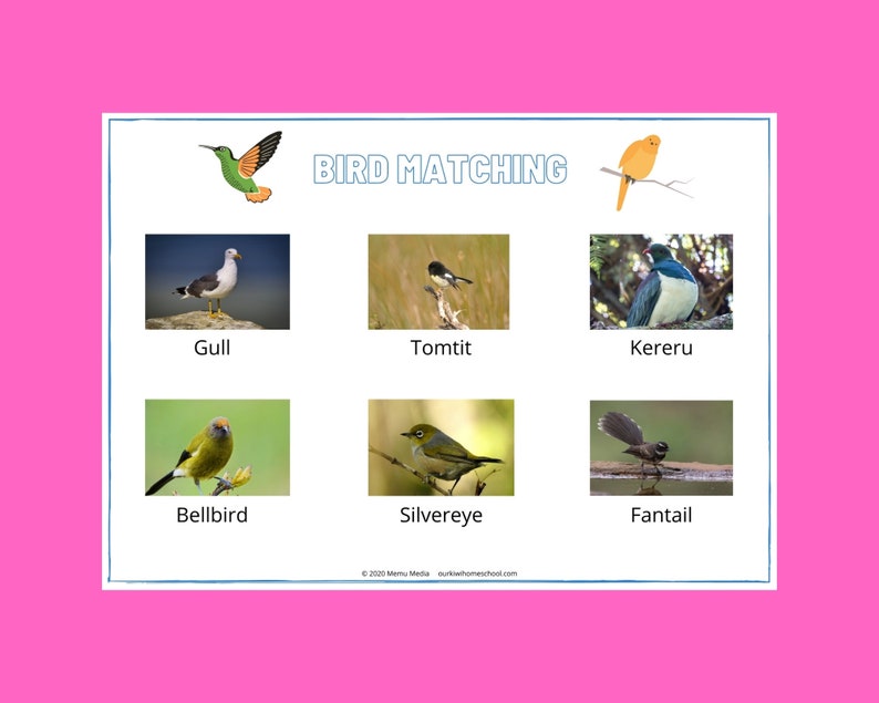 Montessori Bird Matching Activity | Bird Match up Game | Preschool ...
