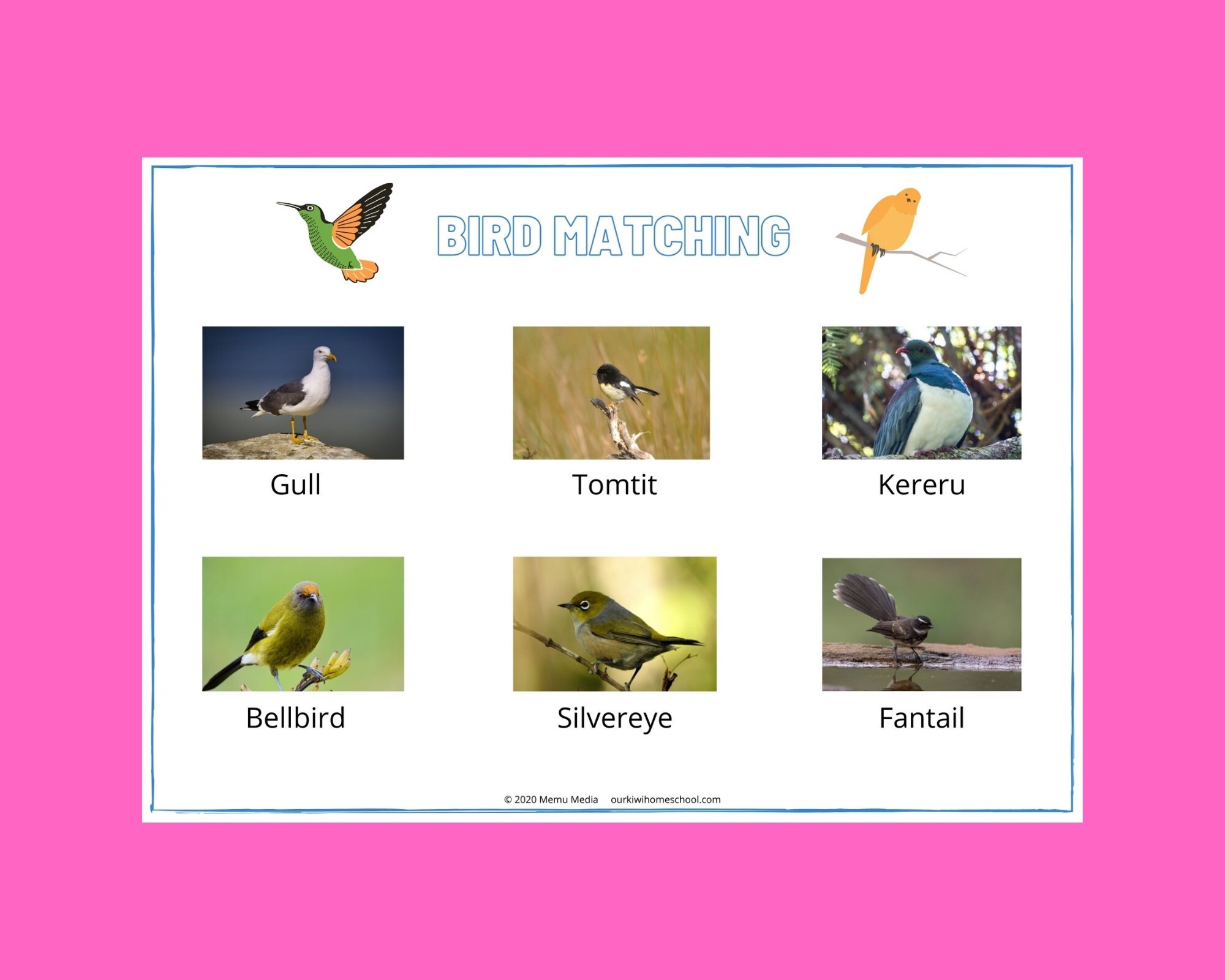 Montessori Bird Matching Activity | Bird Match up Game | Preschool ...