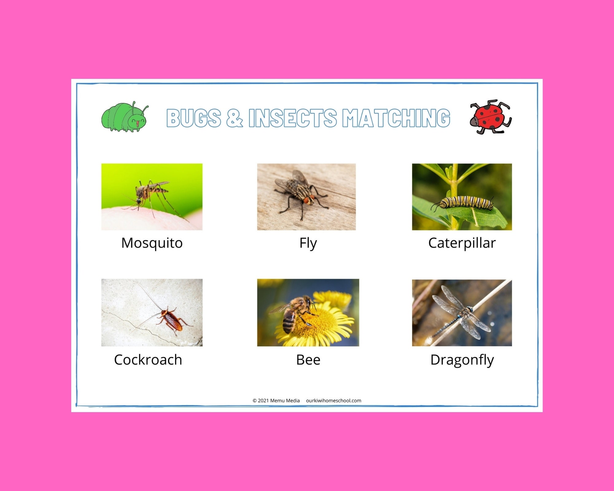 Montessori Bugs and Insects Matching Activity | Toddler Sorting Game ...