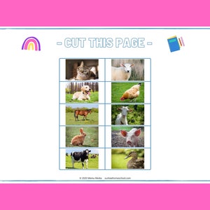 Baby & Adult Animals Matching Activity | Montessori Sorting Game ...