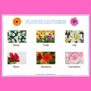 Montessori Flower Matching Activity | Flower Match up Game | Preschool ...