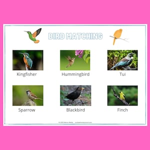 Montessori Bird Matching Activity | Bird Match up Game | Preschool ...
