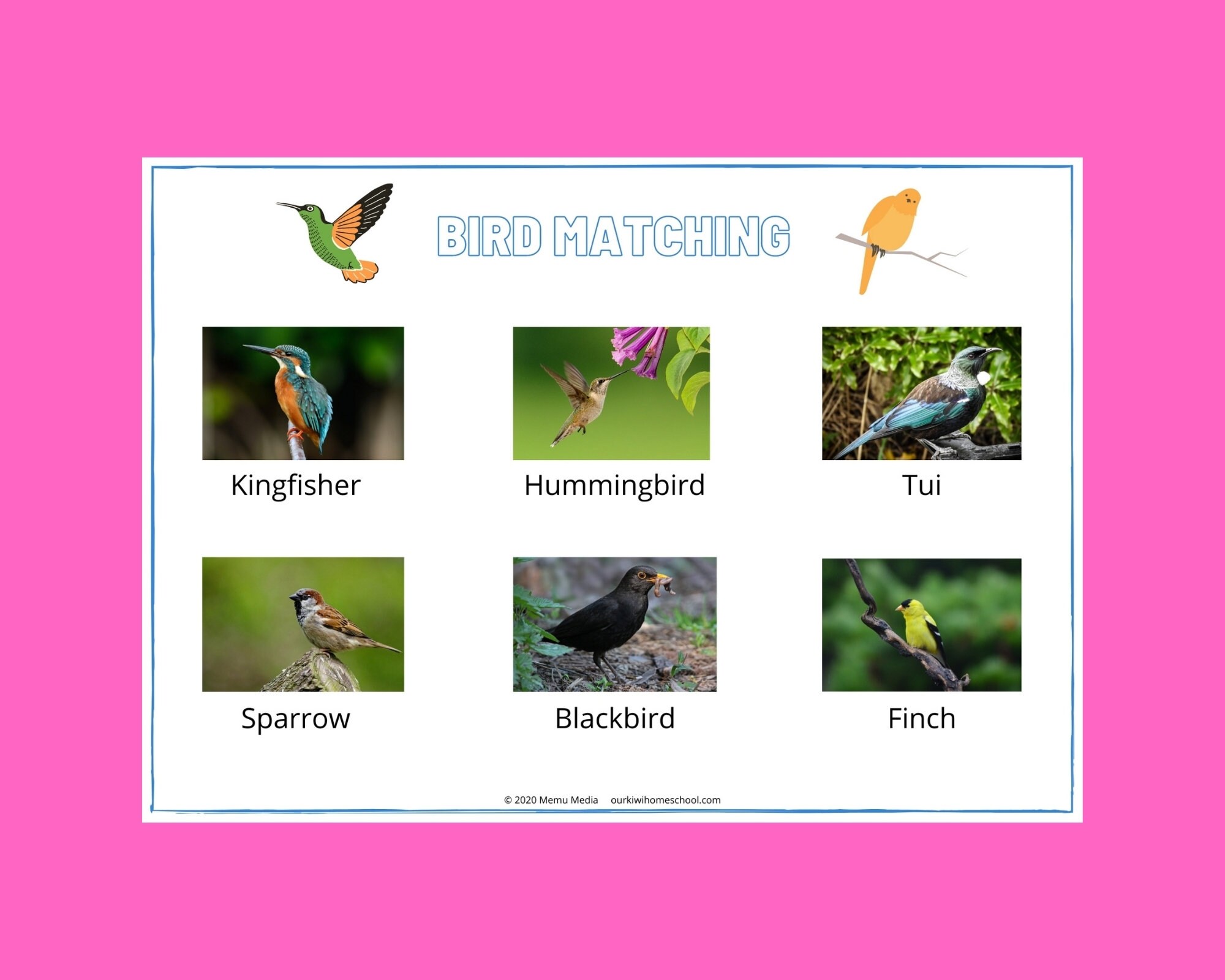 Montessori Bird Matching Activity | Bird Match up Game | Preschool ...