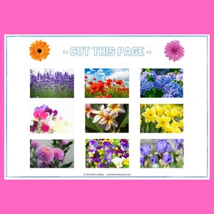 Montessori Flower Matching Activity | Flower Match up Game | Preschool ...