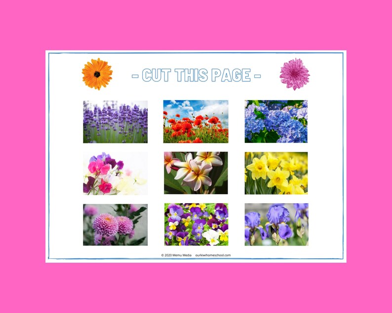 Montessori Flower Matching Activity | Flower Match up Game | Preschool ...