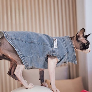 Sphynx Cat Denim Jacket Autumn Outdoor Wear Sphynx Hairless Cat Clothes ...