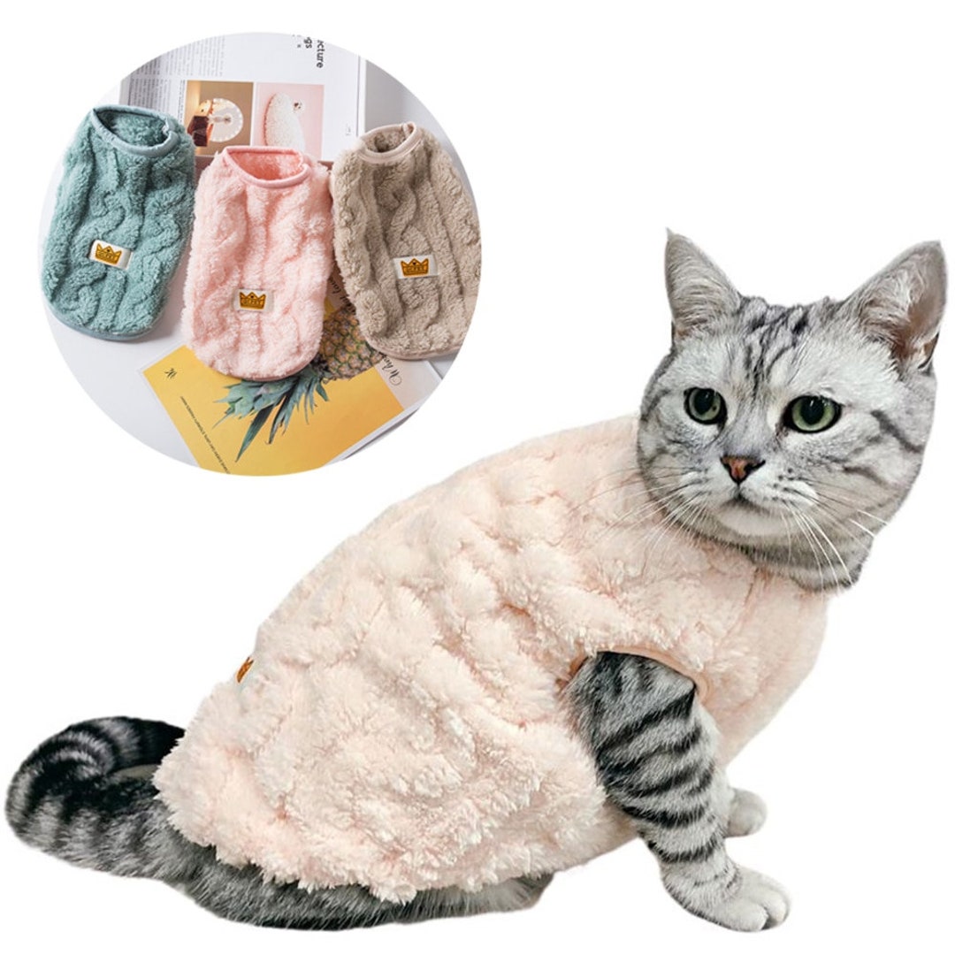 Fleece Soft Cozy Cat Crown Autumn Comfortable Winter Warm Sweatshirt ...