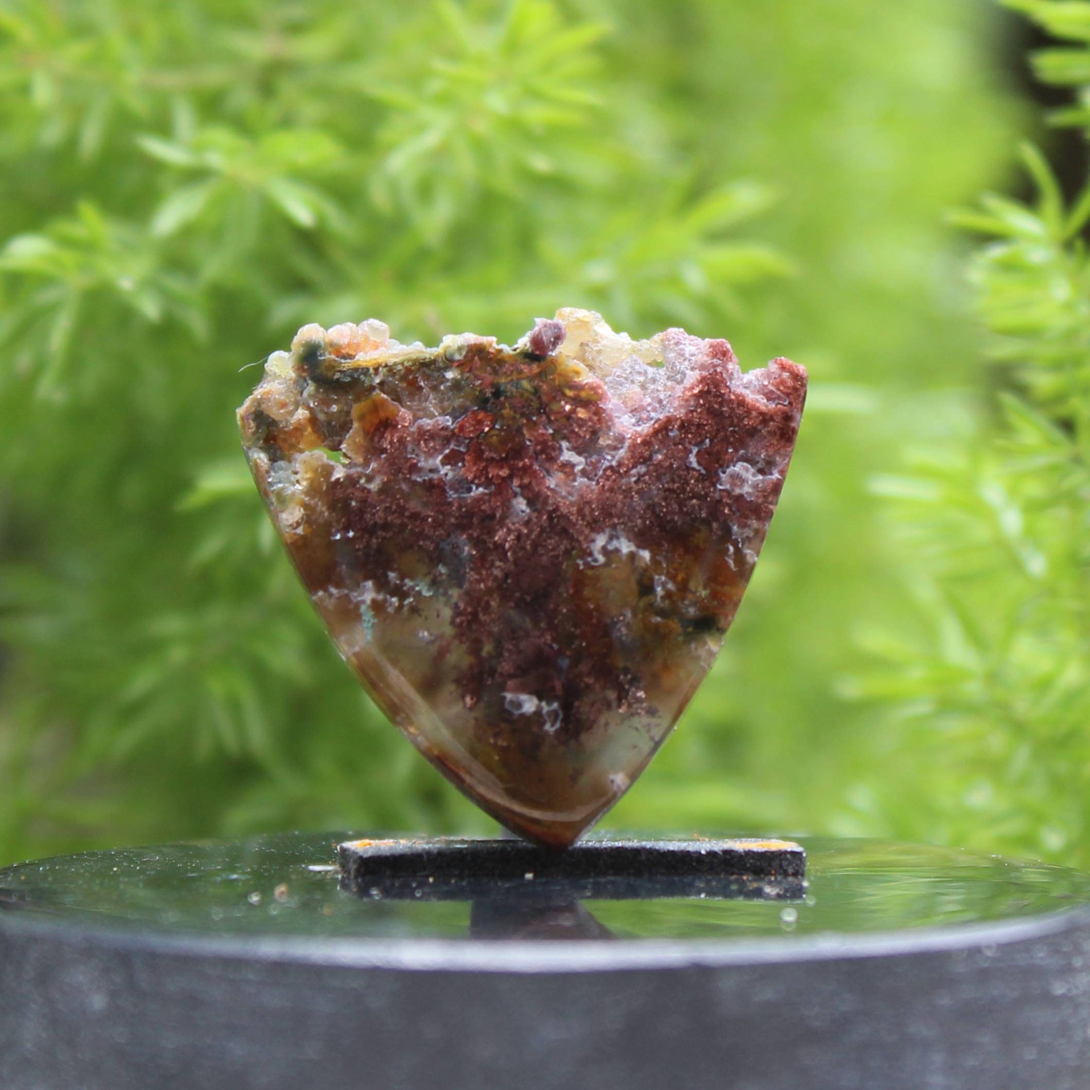 Opalized Wood copper agate Cabochon rare druzy | Etsy