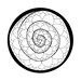 Digital Coloring Book Homegrown Portals Hand Drawn Spiral - Etsy