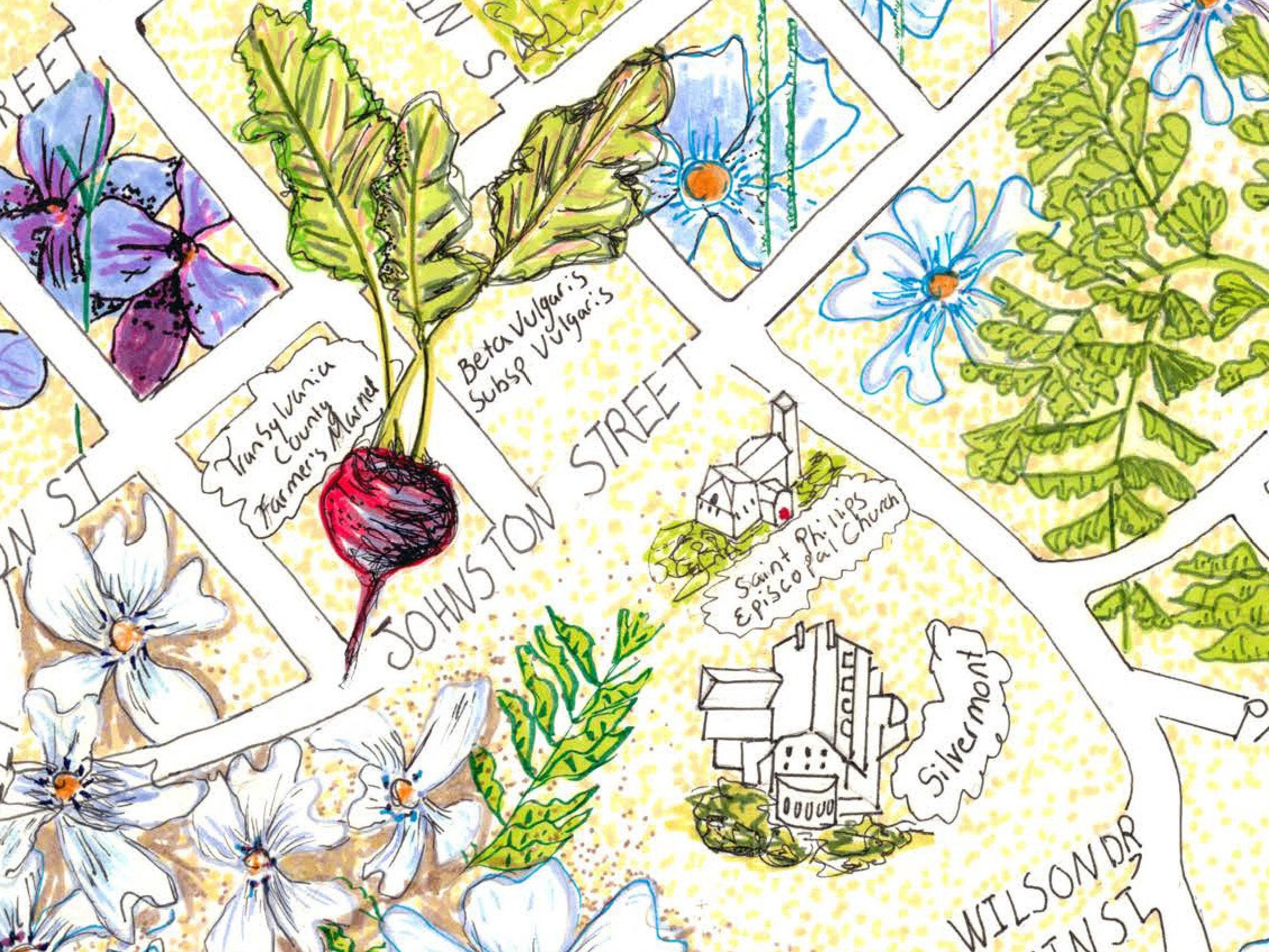 Map of Brevard, NC - Giclée Print - Etsy