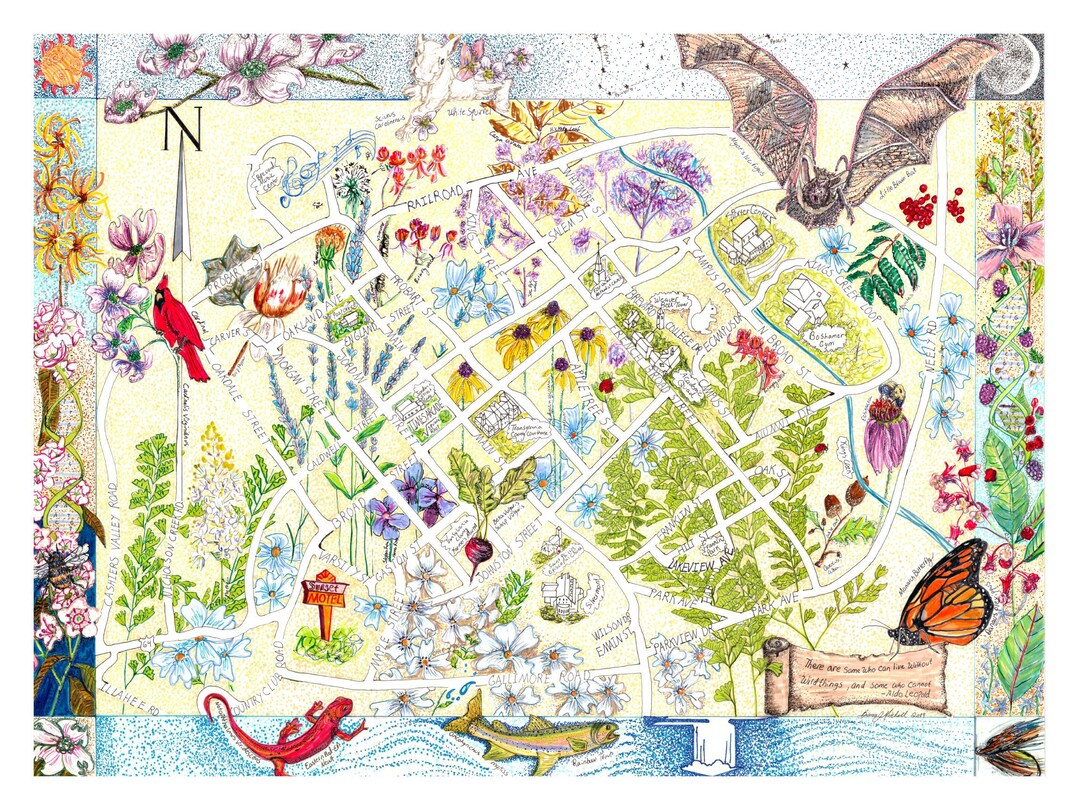 Map of Brevard, NC - Giclée Print - Etsy